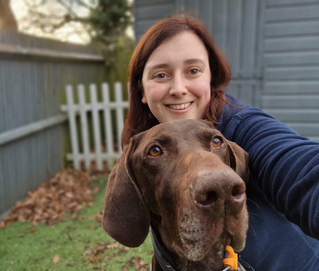 Haywards Heath – The Mewes Vets