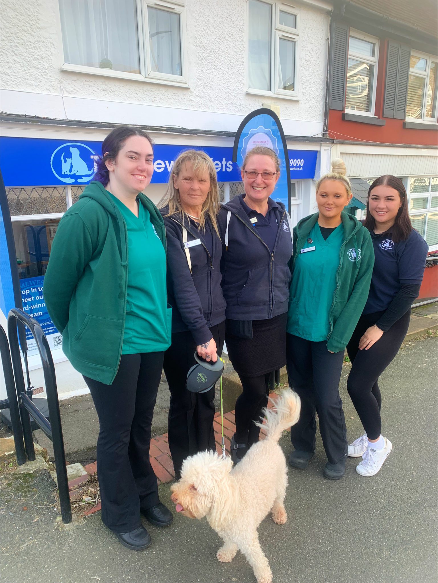 Meet The Mewes - The Mewes Vets