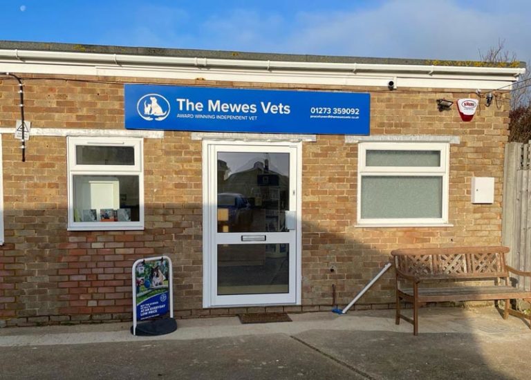 Your Local Vets | Mewes Vets