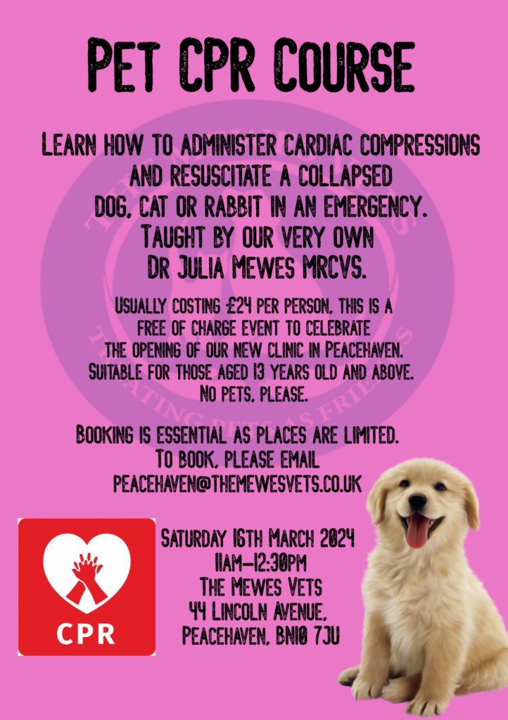 Pet CPR Course - The Mewes Vets