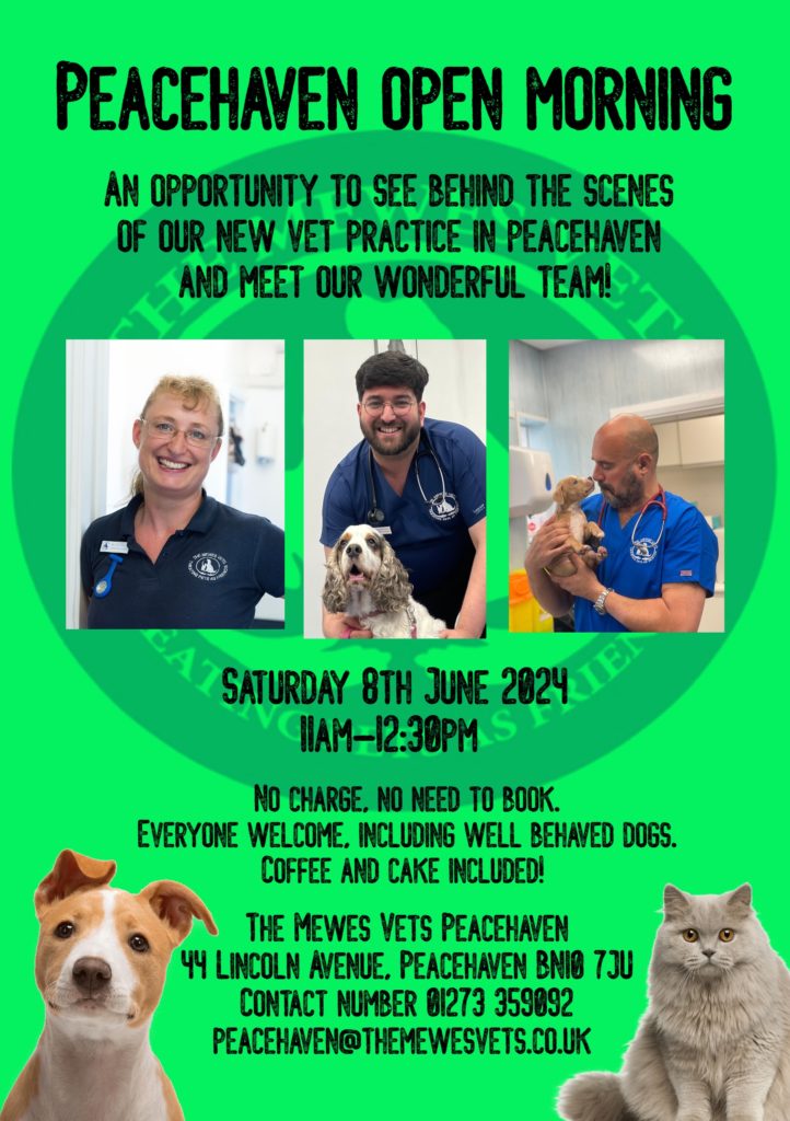 Peacehaven Open Morning - The Mewes Vets
